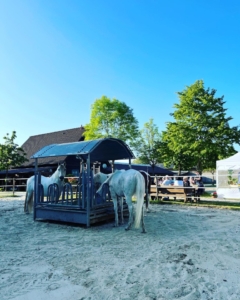 Nordhalben - Nordhalber